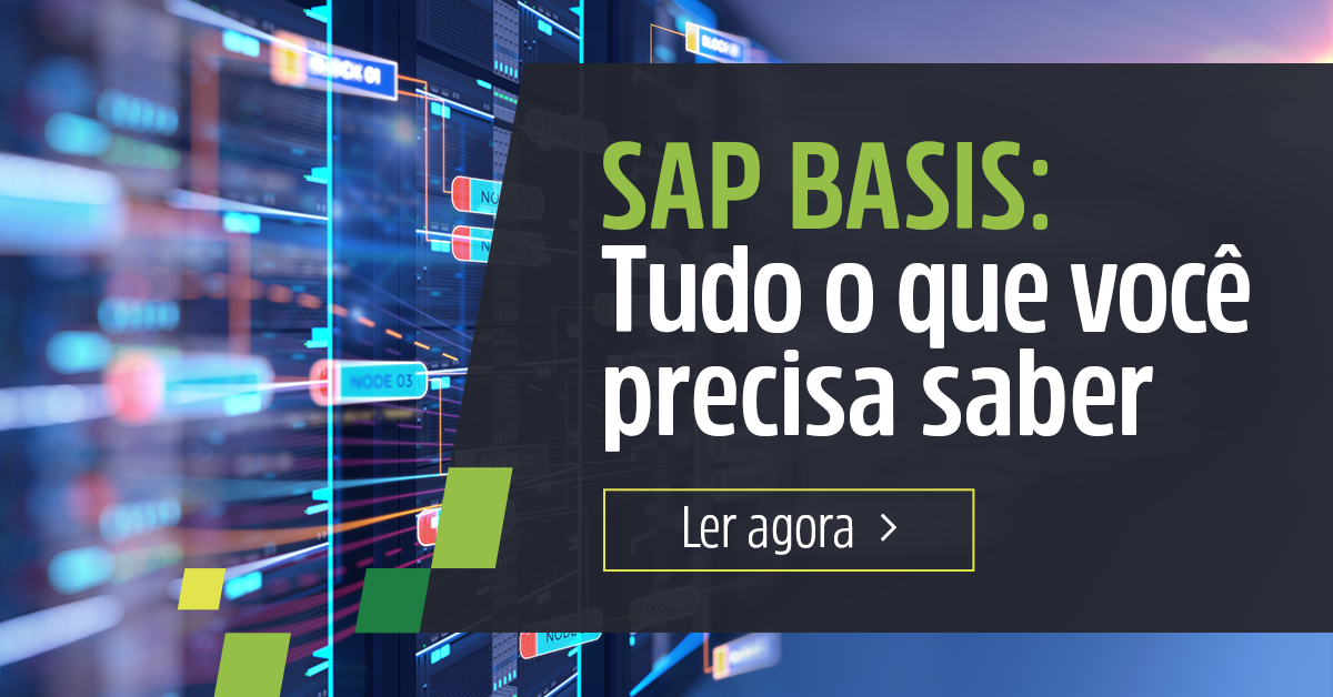 SAP BASIS: Tudo o que você precisa saber